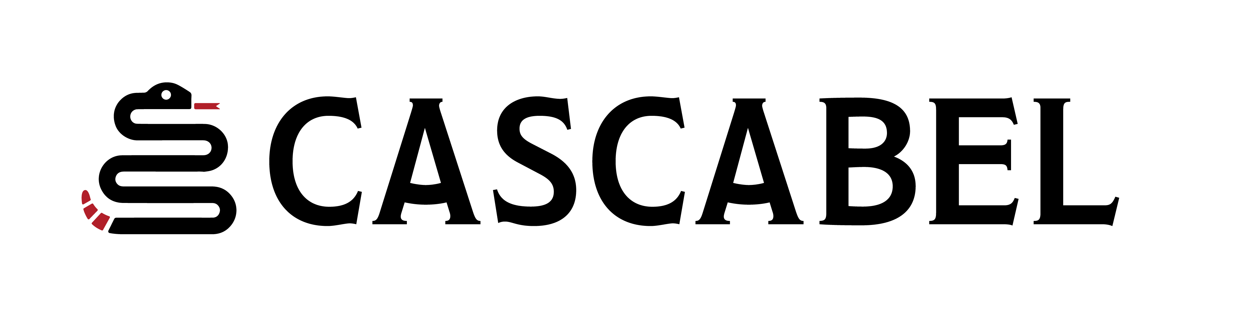 Sizing Chart – Cascabel Clothing